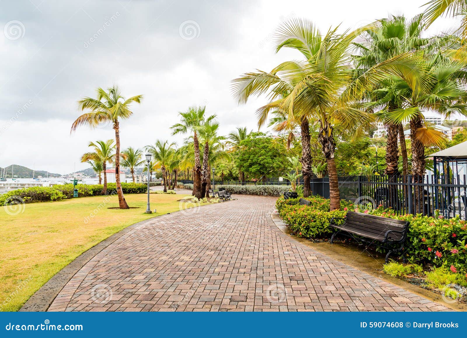 Walkway and Bench among Palm Trees Stock Photo - Image of pathway ...