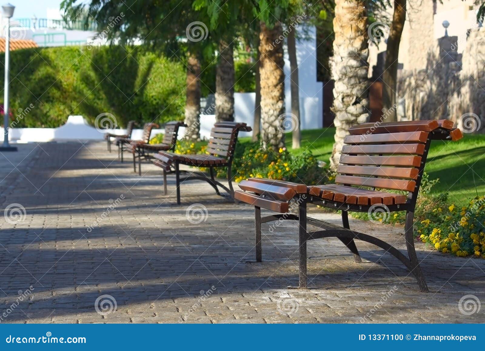 Walkway with benches stock photo. Image of walking, landscape - 13371100