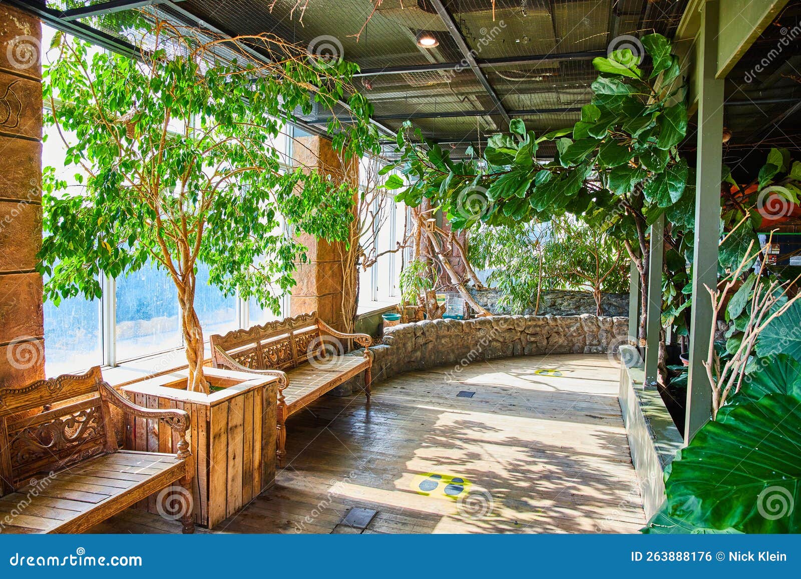 Walkway through Bird Exhibit Full of Greenery Stock Photo - Image of ...