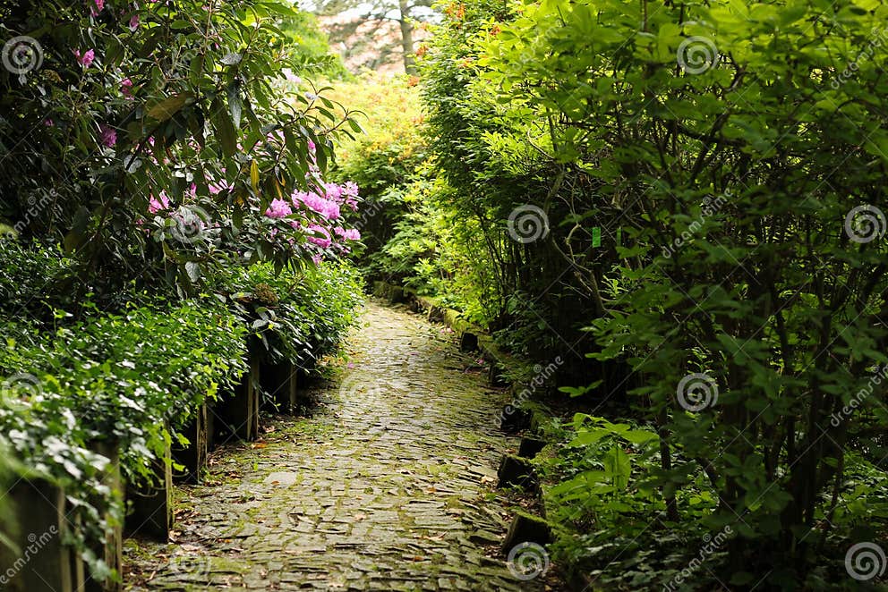 Walkway through a Botanical Garden Stock Image - Image of botanic ...