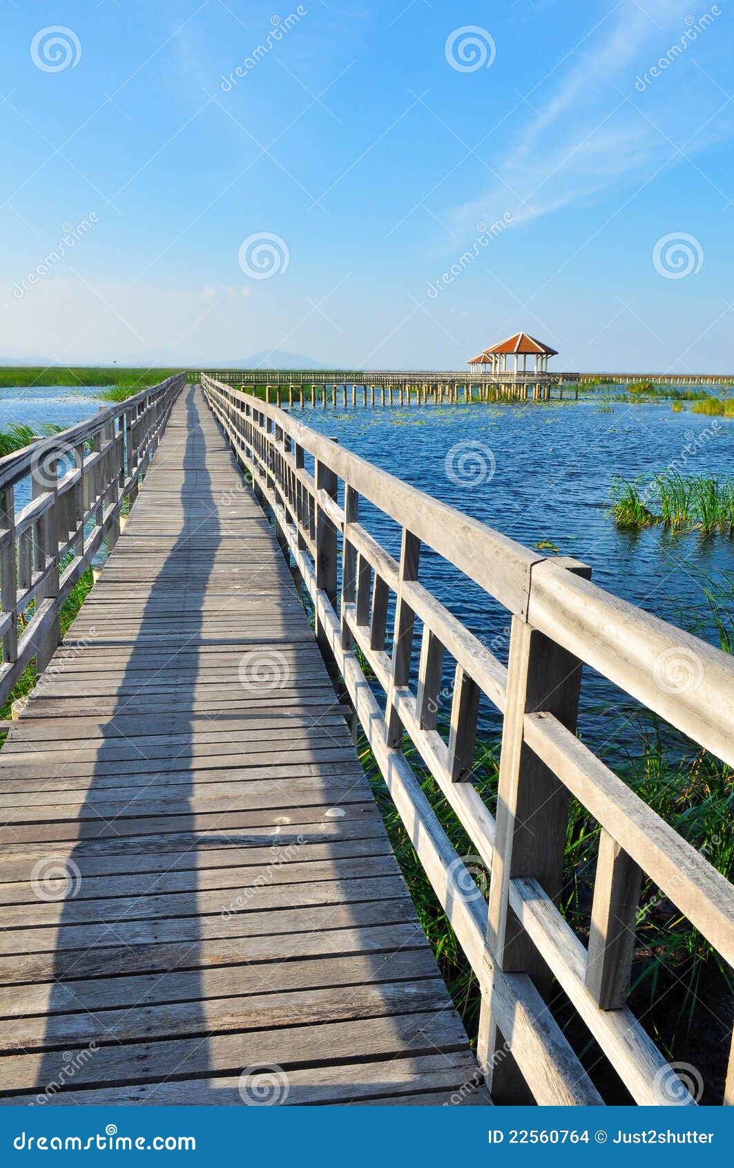 Walkway bridge on the lake stock photo. Image of nature - 22560764
