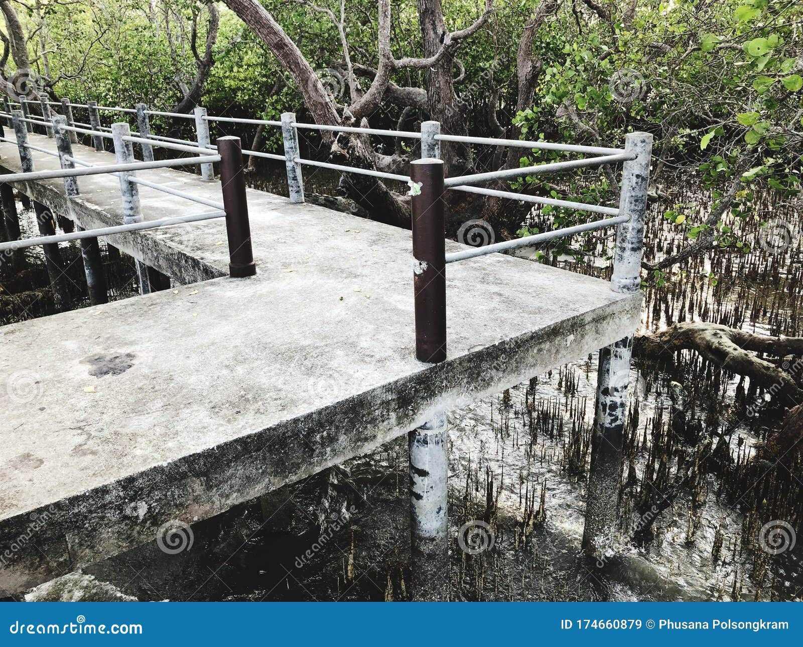 Walkway bridge at wetland stock image. Image of mangrove - 174660879