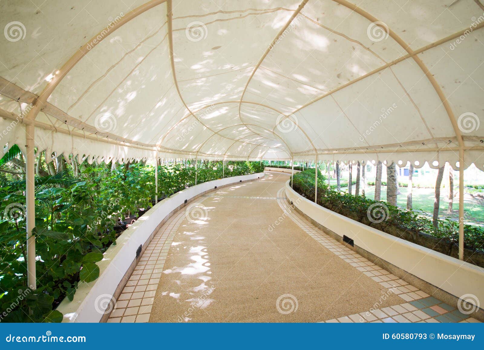 Walkway between the Building in Hotel Stock Image - Image of hotel ...