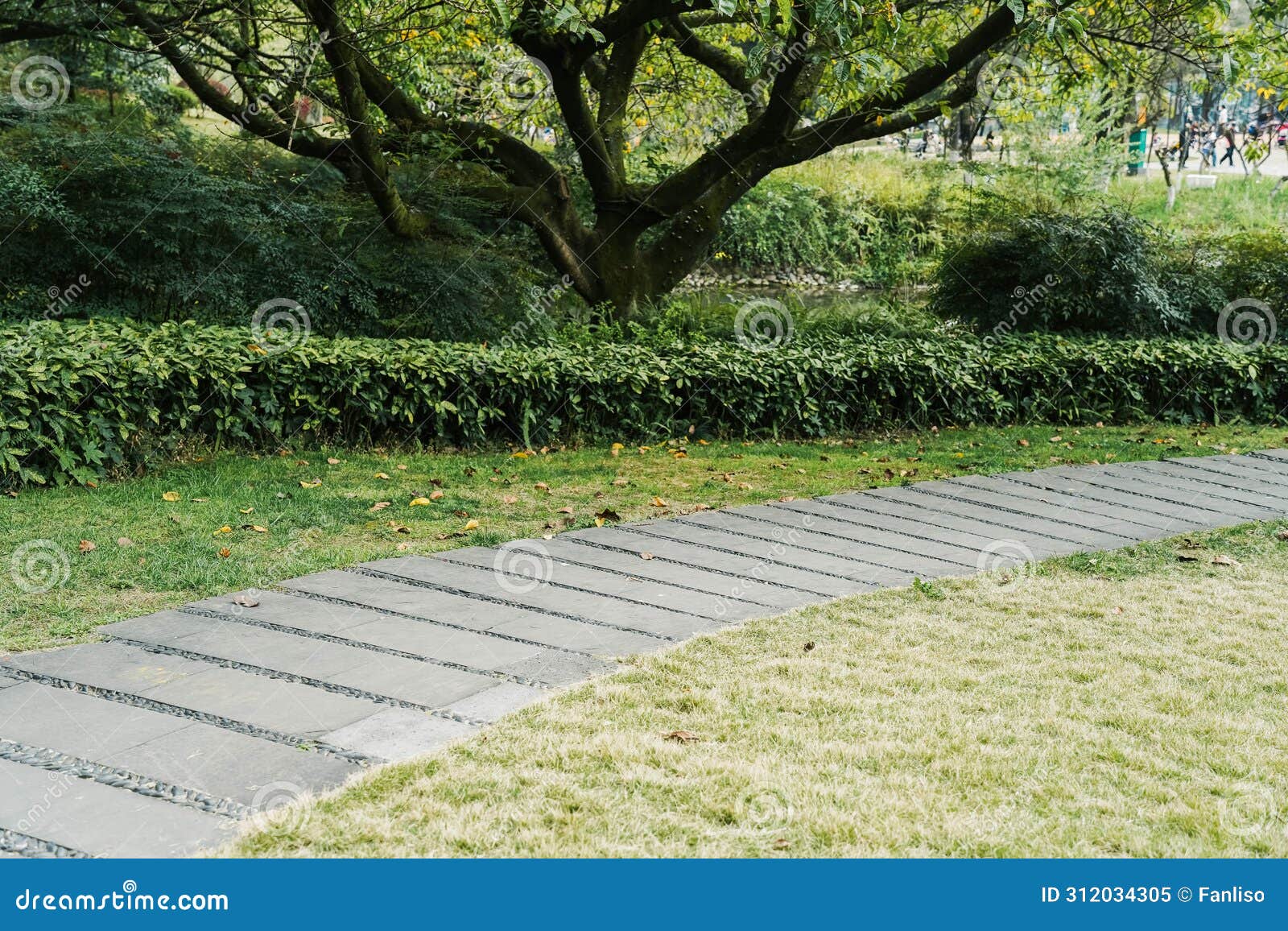 Footpath in Garden or Park Along with Green Grass and Tree. Stock Image ...
