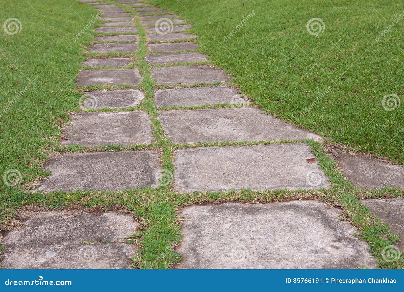 Walkway Cement Plate on Green Grass Stock Image - Image of plate ...