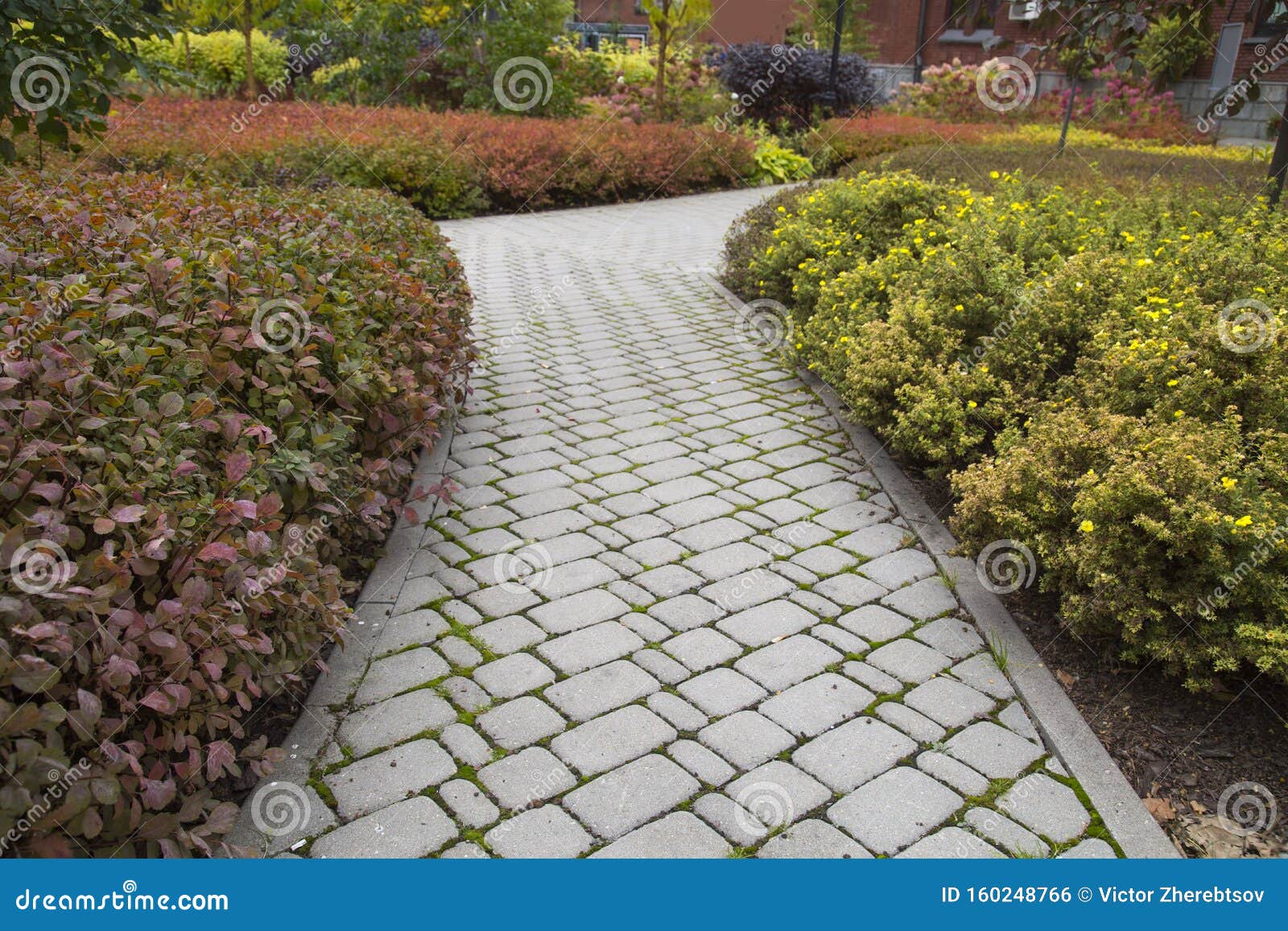The Walkway in the City Park is Made of Artificial Stone Rectangular ...