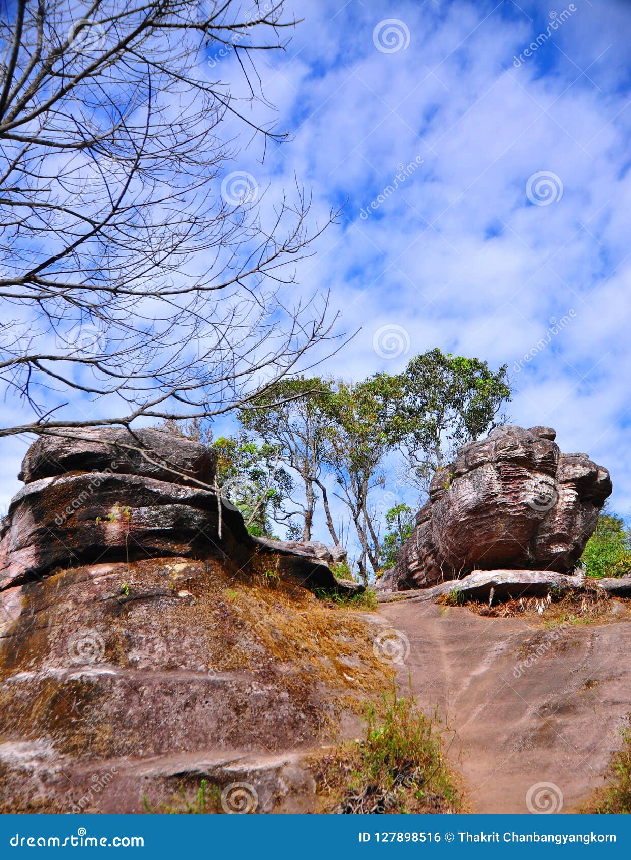 Walkway on the cliff. stock photo. Image of tree, cloud - 127898516