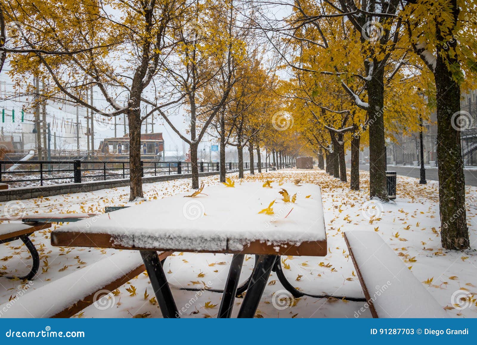 Walkway on the First Snow with Yellow Leaves Falling of Trees ...