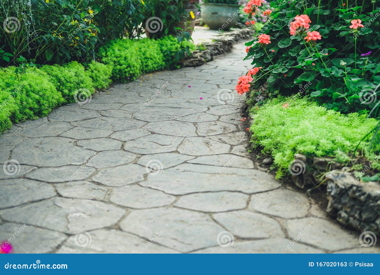 Walkway in Flower Garden Park Stock Image - Image of natural, design ...