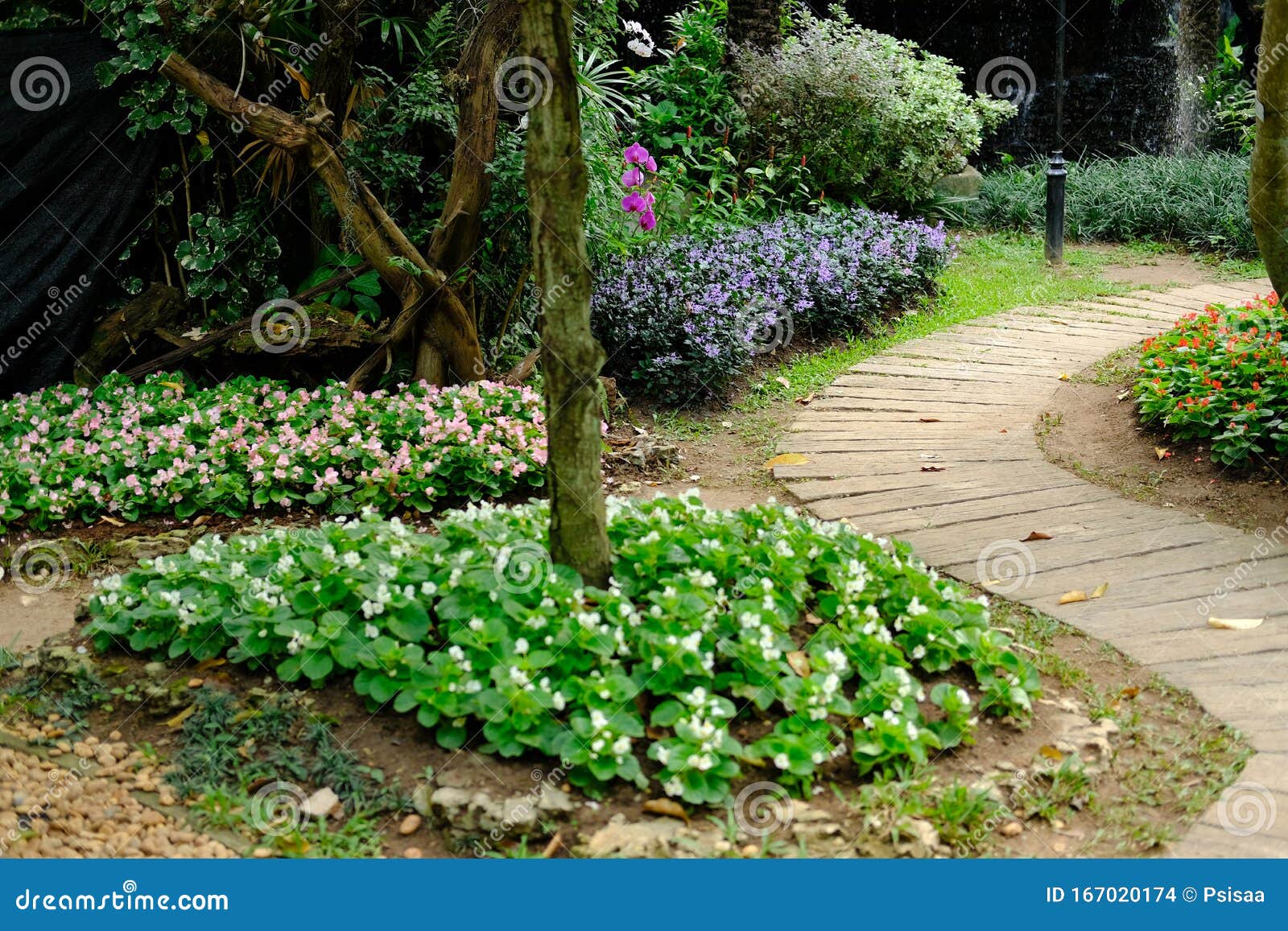 Walkway in Flower Garden Park Stock Photo - Image of sunlight, lush ...