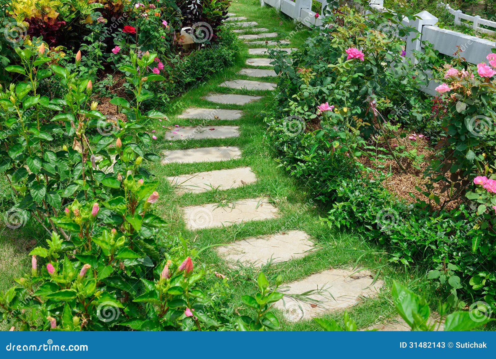 Walkway in the Flowers Garden Stock Image - Image of flower, plant ...