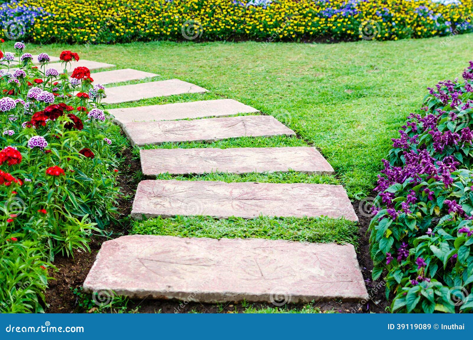 Walkway stock image. Image of forest, blossom, interior - 39119089