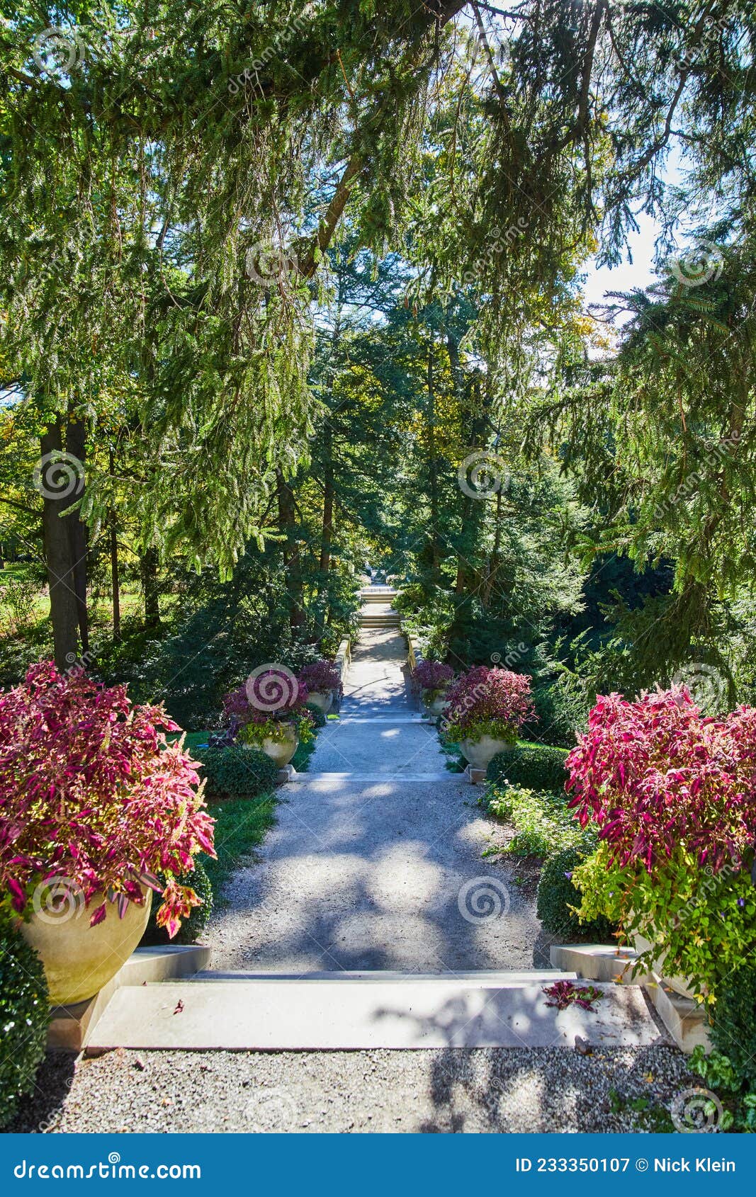 Walkway in Forest with Purple Planters Stock Image - Image of season ...