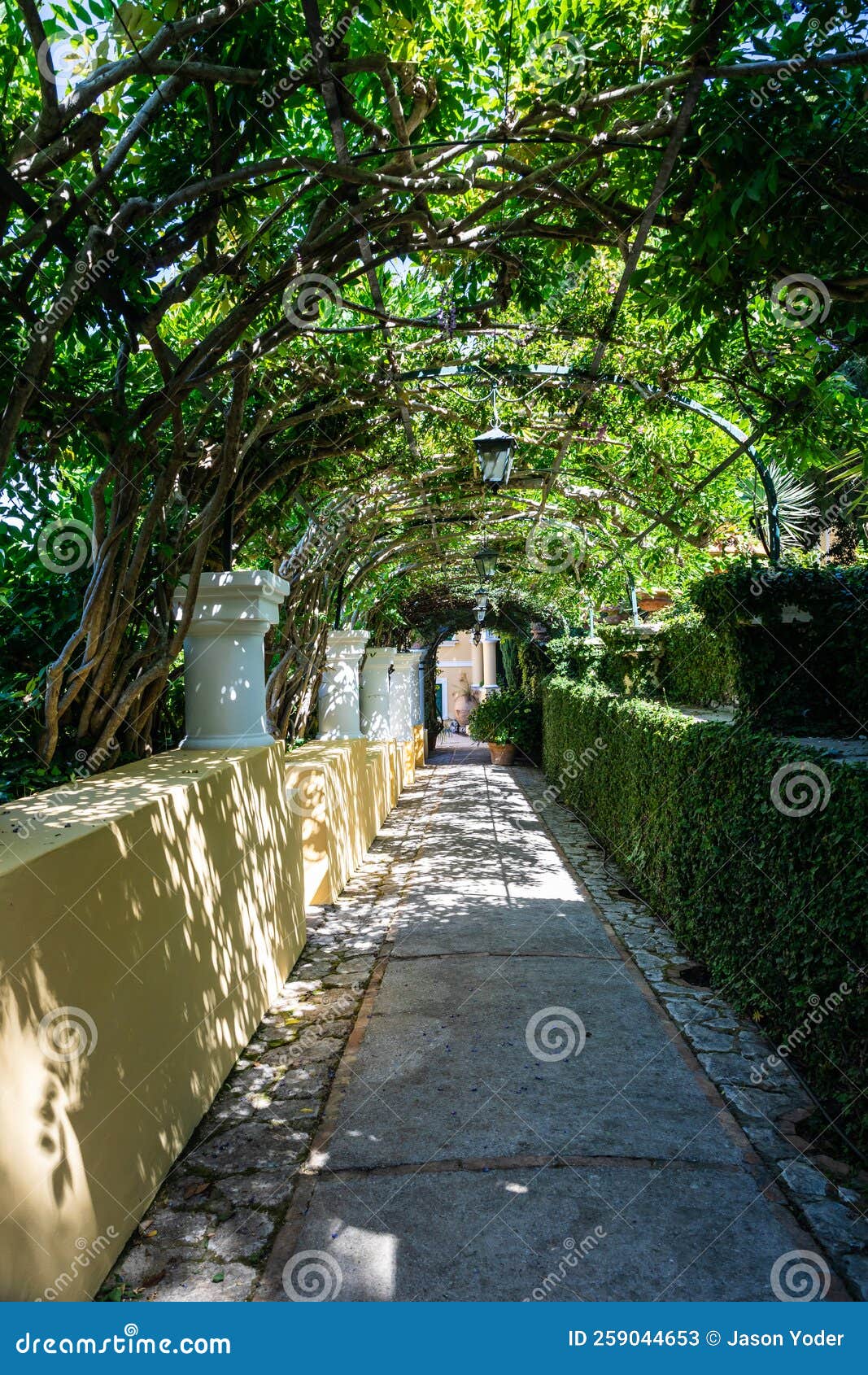 A Walkway Frame by Vegetation, Shaded by the Trees Stock Image - Image ...