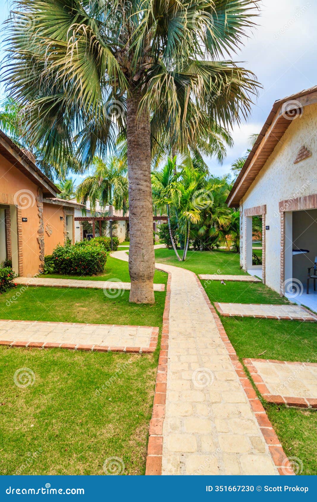 A Walkway in Front of a House with a Palm Tree Stock Photo - Image of ...