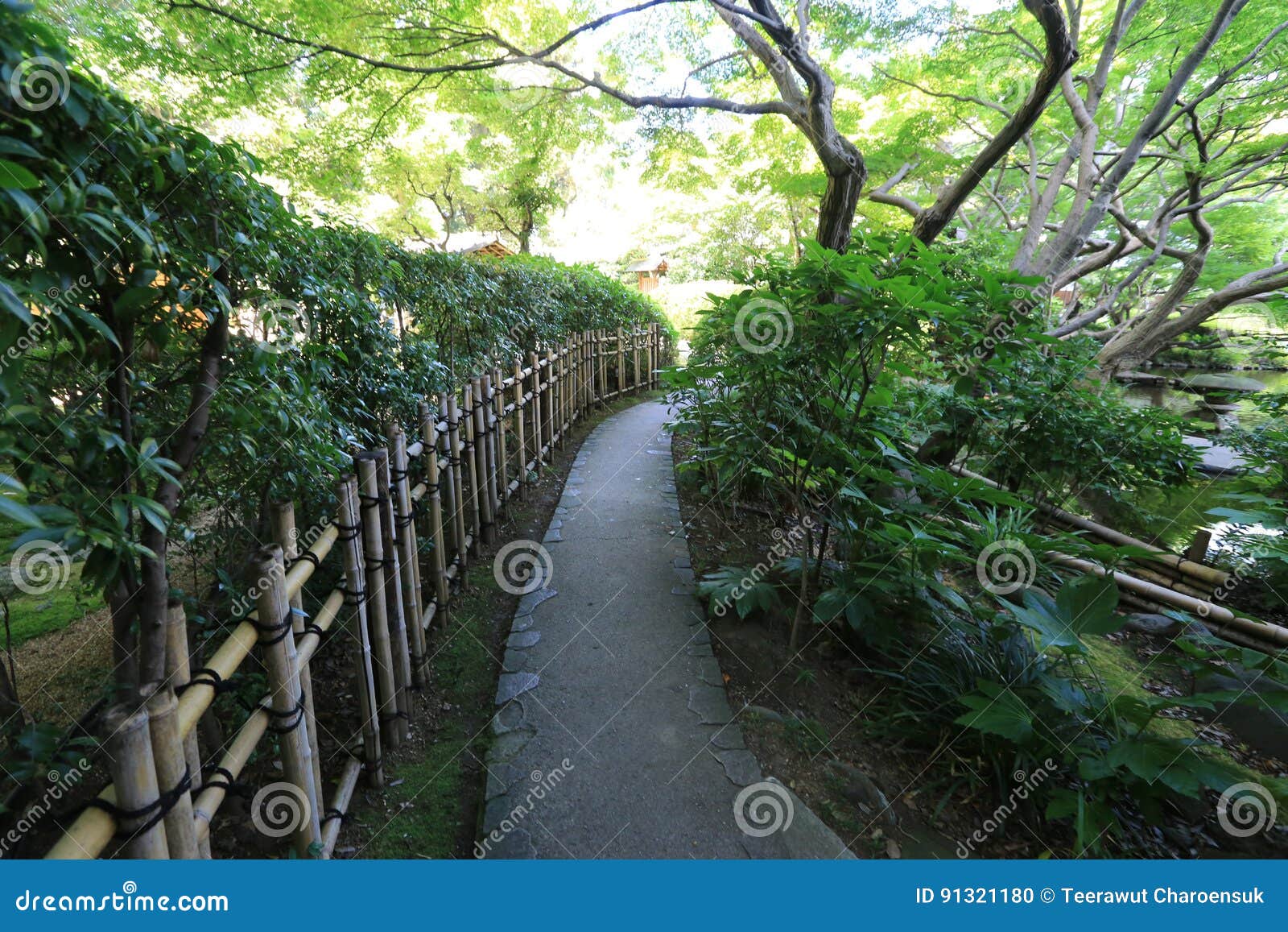 Walkway in garden stock photo. Image of walk, travel - 91321180
