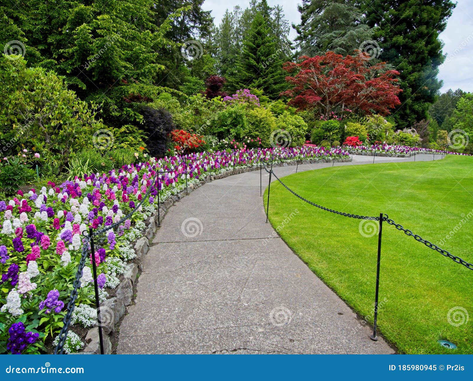 Walkway in the garden stock image. Image of paved, warmth - 185980945