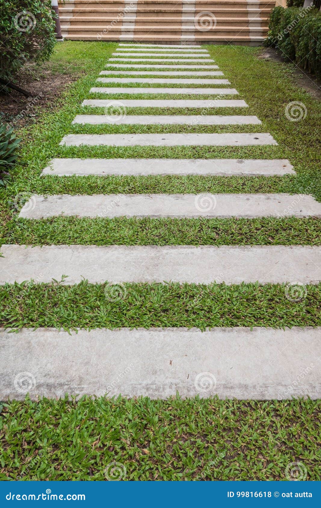 The Walkway on the Grass in the Garden Stock Photo - Image of abstract ...