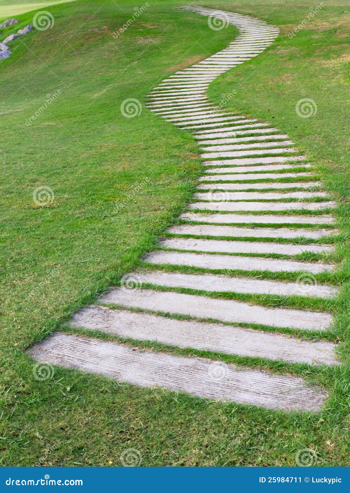 Walkway on green grass stock image. Image of footpath - 25984711