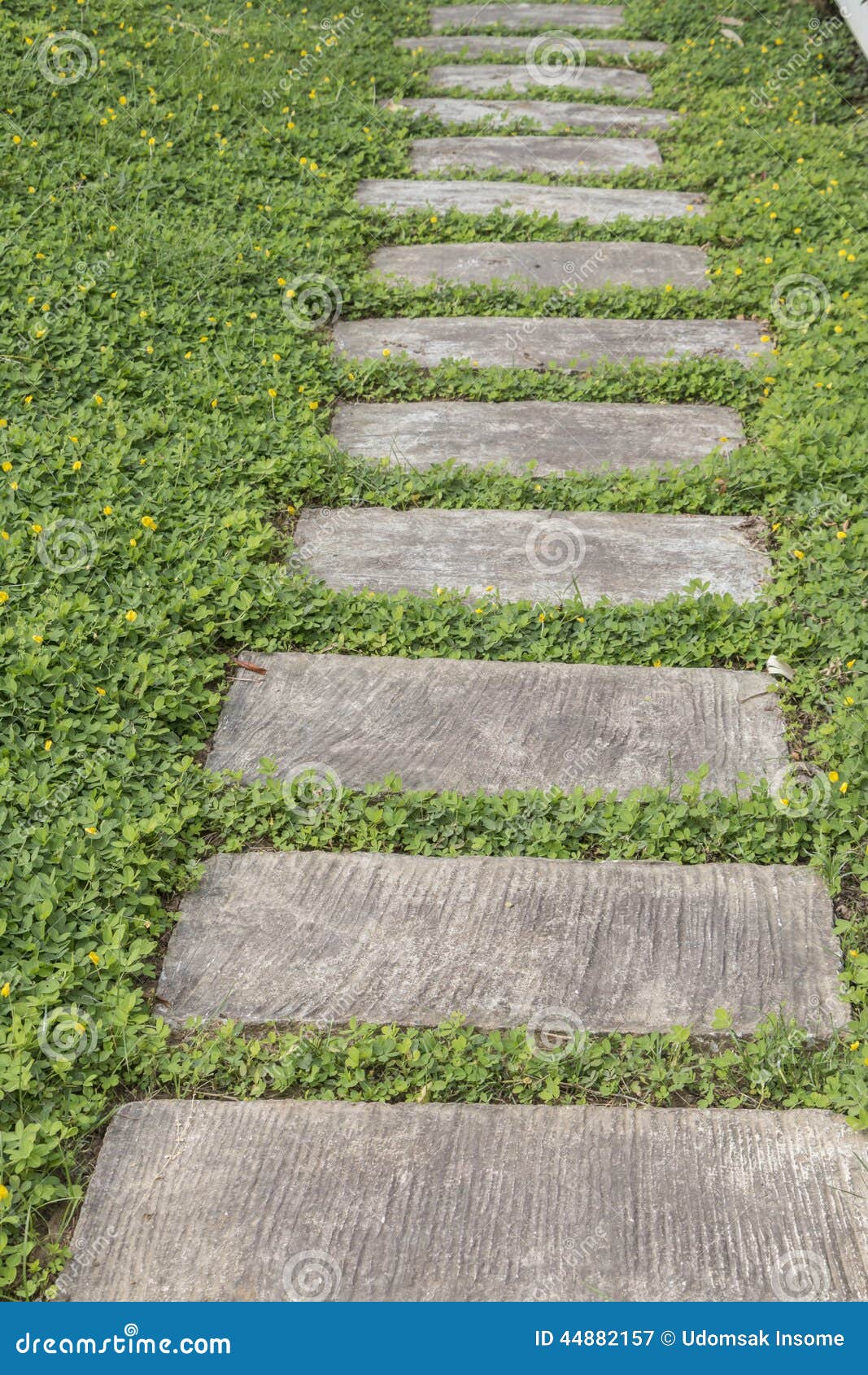 Walkway on Green Grass Background Stock Image - Image of cement, alley ...