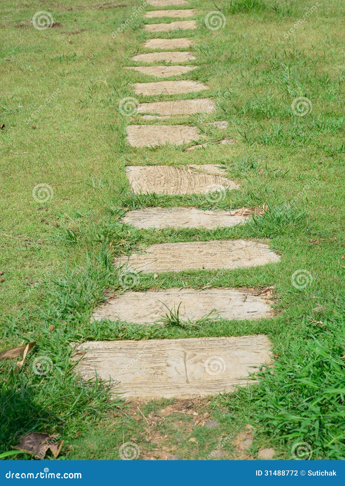 Walkway in the Green Grass Field Stock Photo - Image of relaxing ...