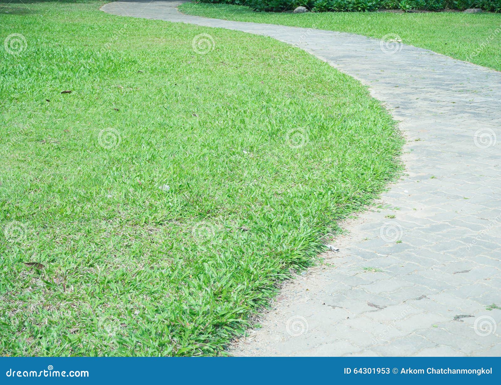 Walkway and green grass stock image. Image of spring - 64301953