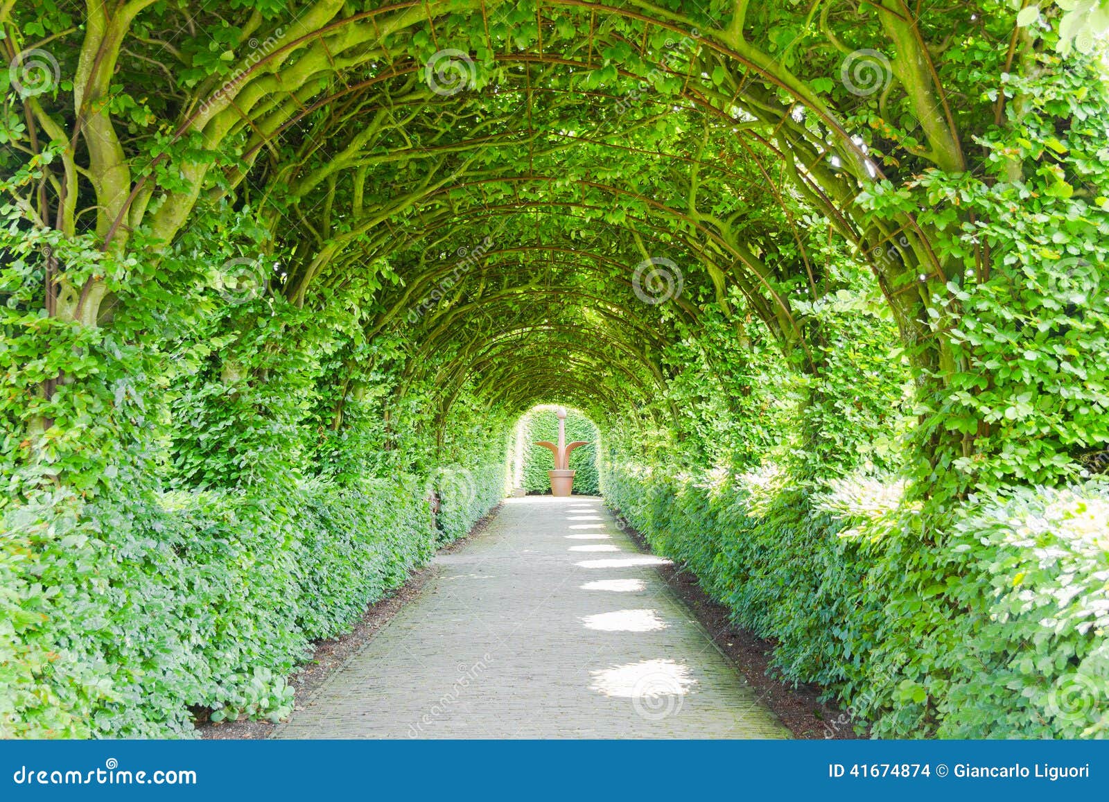 Walkway with green trees stock photo. Image of peaceful - 41674874