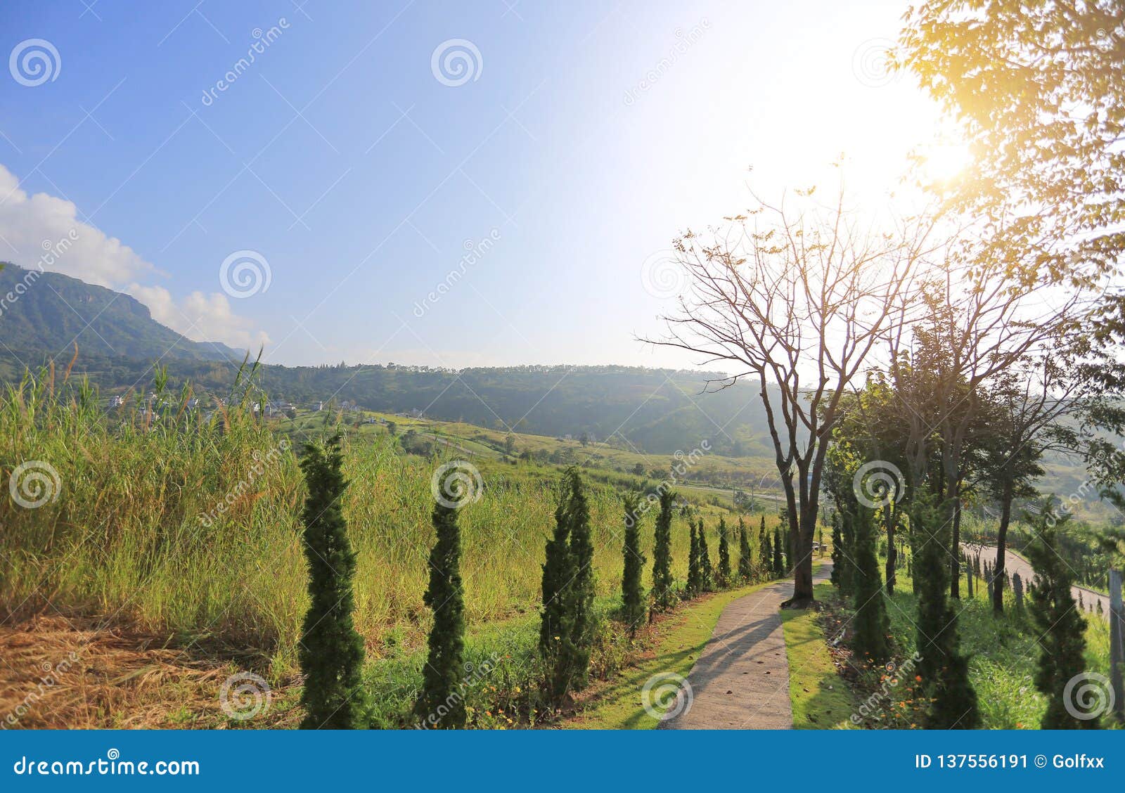 Walkway in Hillside with Morning Sunlight Stock Image - Image of green ...