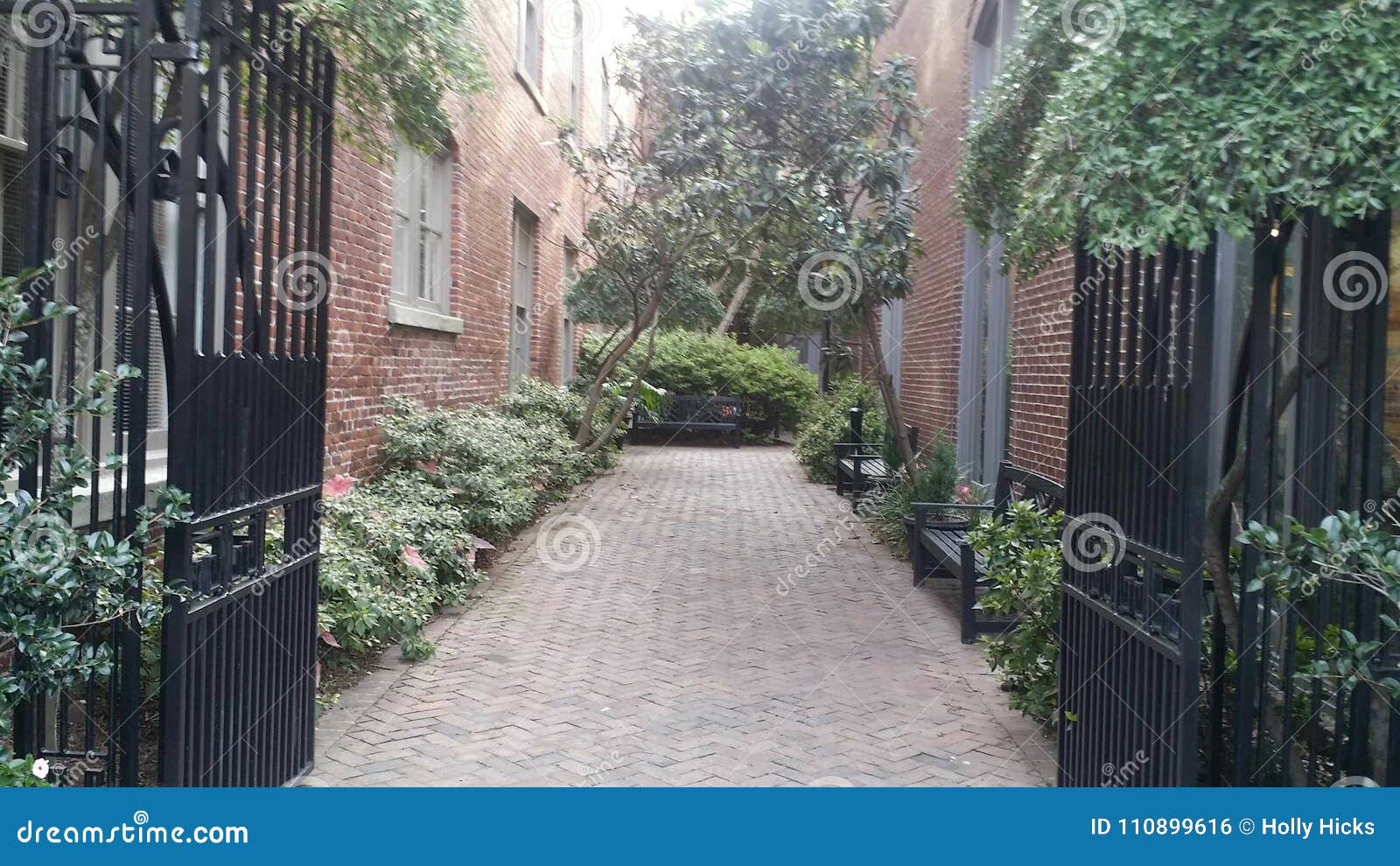 Historical Walk stock photo. Image of historic, walk - 110899616
