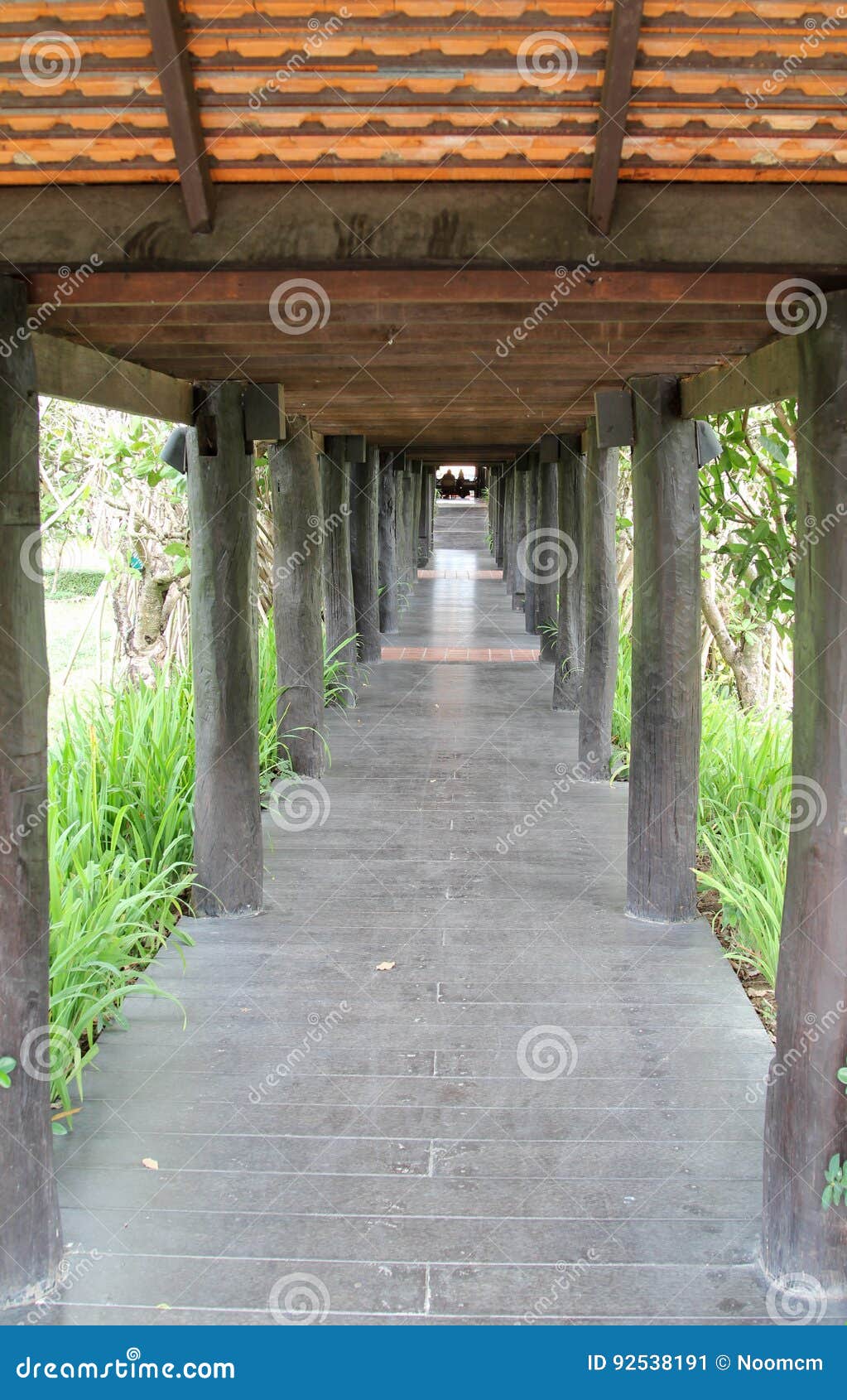 Walkway stock image. Image of pathway, villa, tree, resort - 92538191