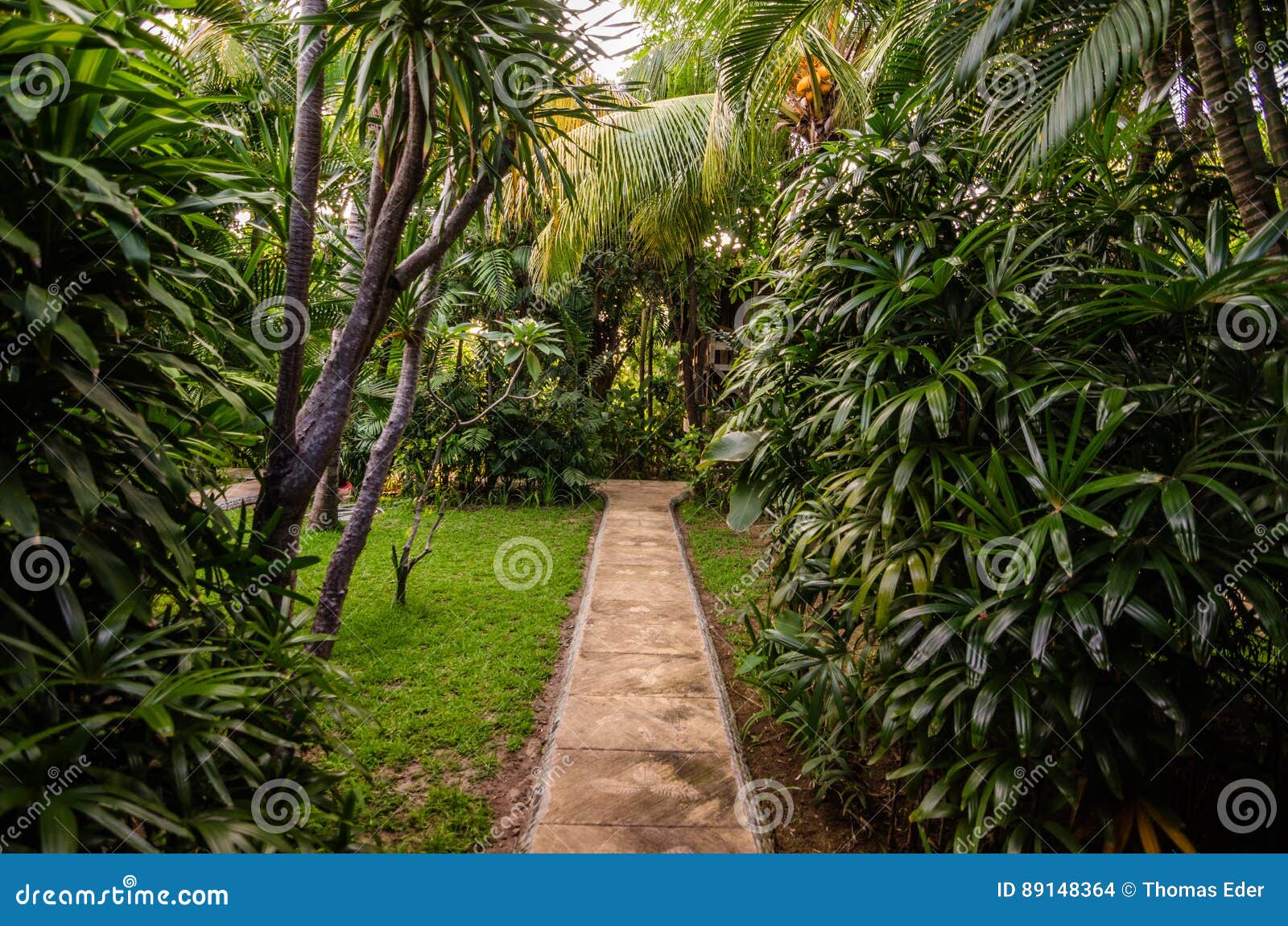 Walkway in hotel resort stock photo. Image of safari - 89148364