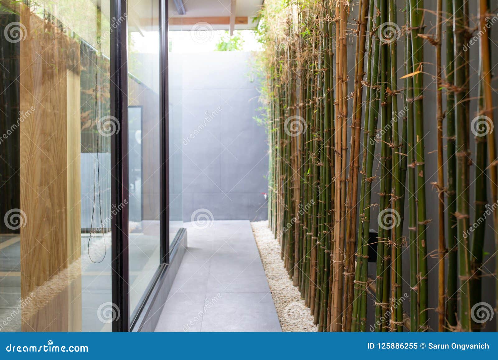 Walkway in the House with Bamboo Tree and Gravel. Stock Image - Image ...