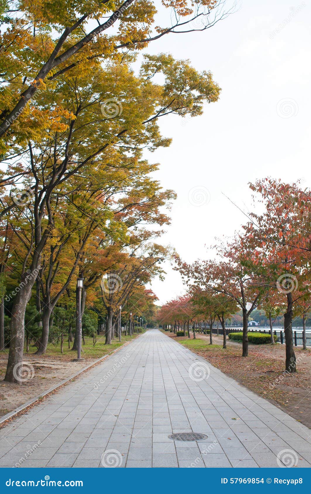 Walkway stock photo. Image of asian, autumn, natural - 57969854