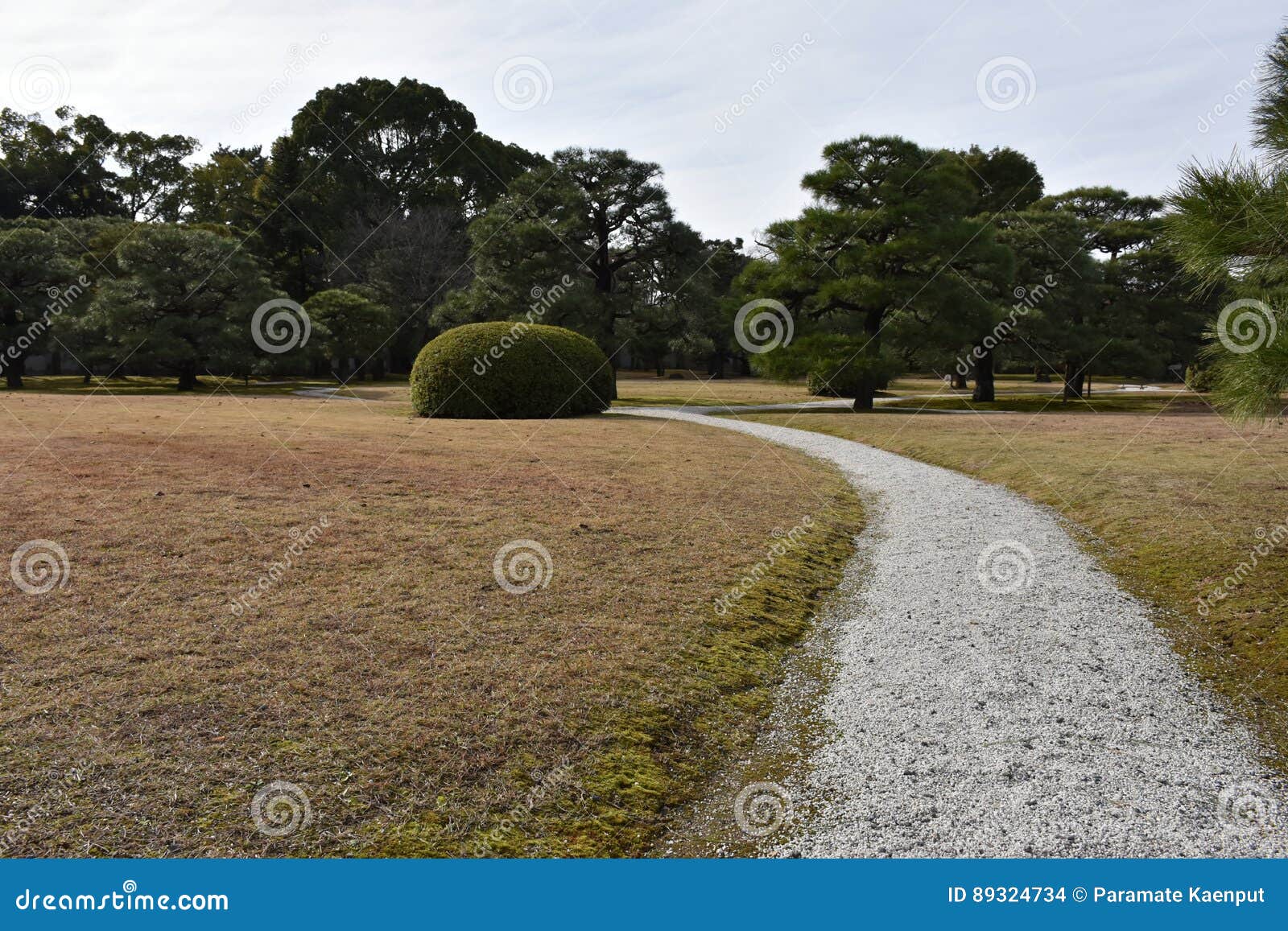 Walkway in Japanese garden stock photo. Image of travel - 89324734