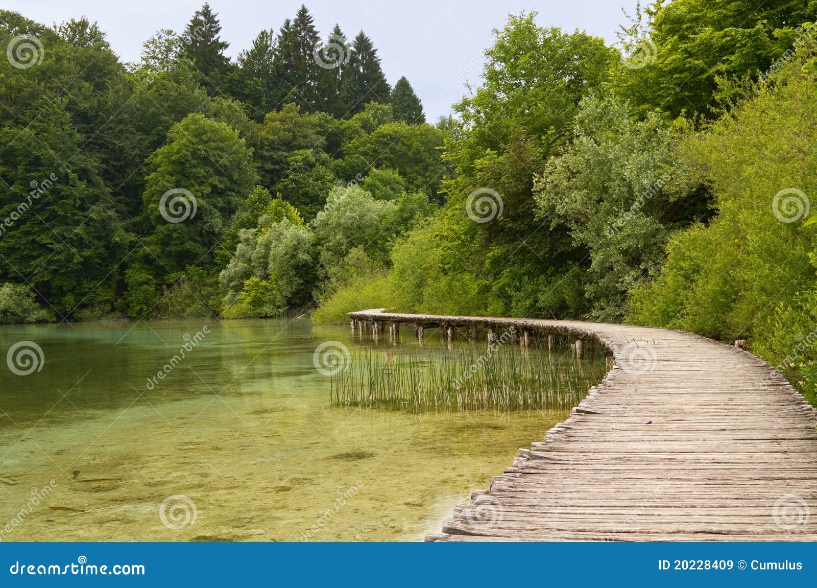Walkway at the lake. stock image. Image of lake, path - 20228409