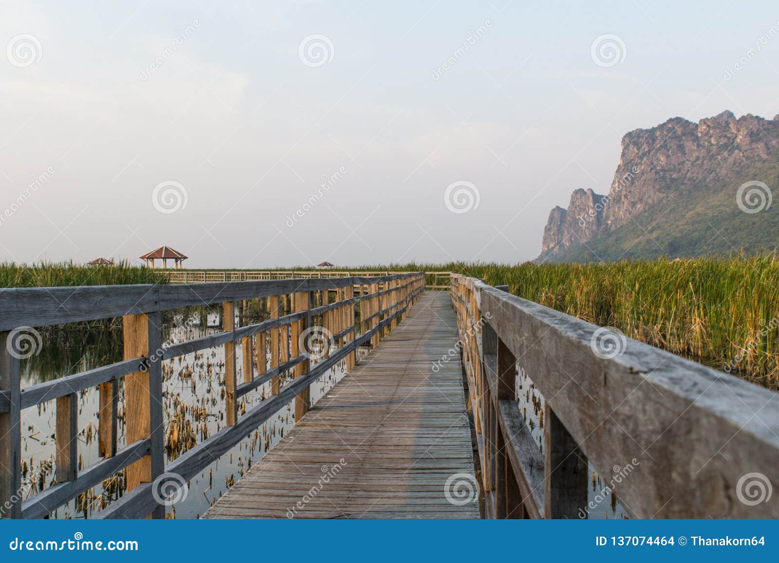 Walkway, Lake of Sam Roi Yot Stock Photo - Image of summer, adventure ...
