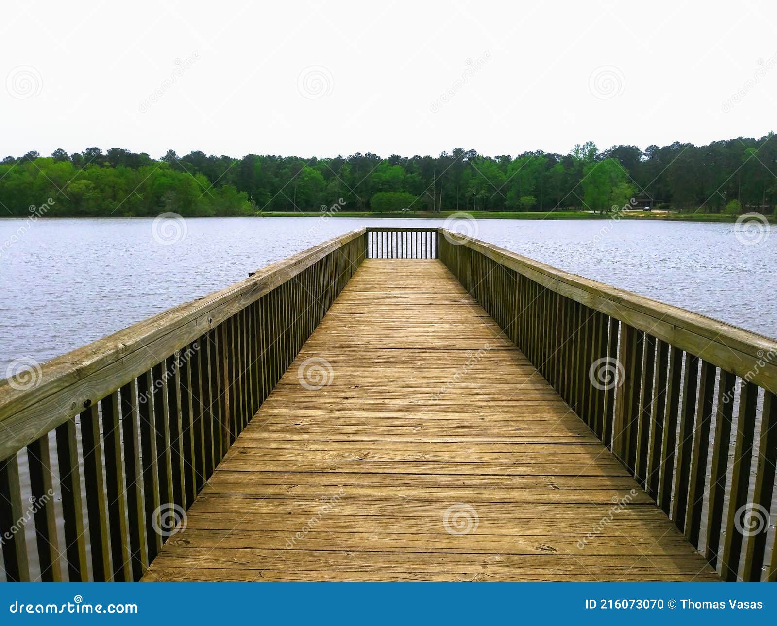 On the Walkway on the Lake stock photo. Image of trees - 216073070