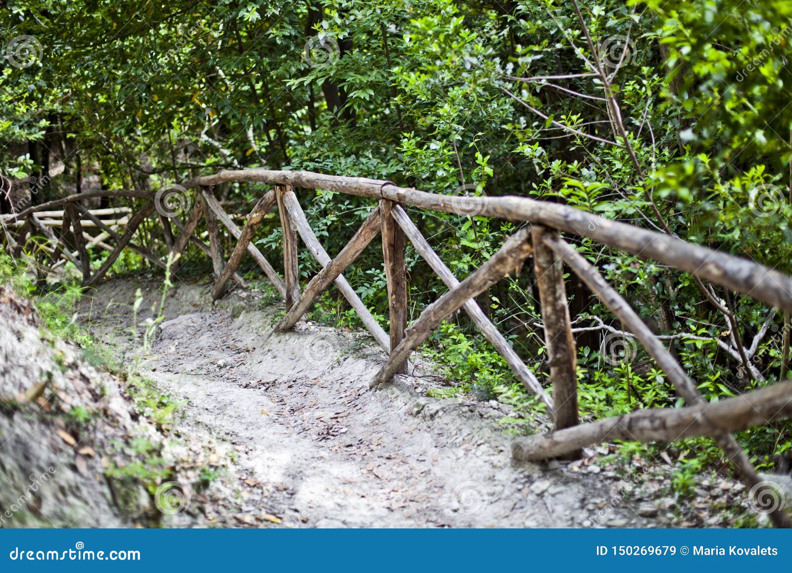 Walkway Lane Path with Handrail in Green Trees in Summer Forest Stock ...