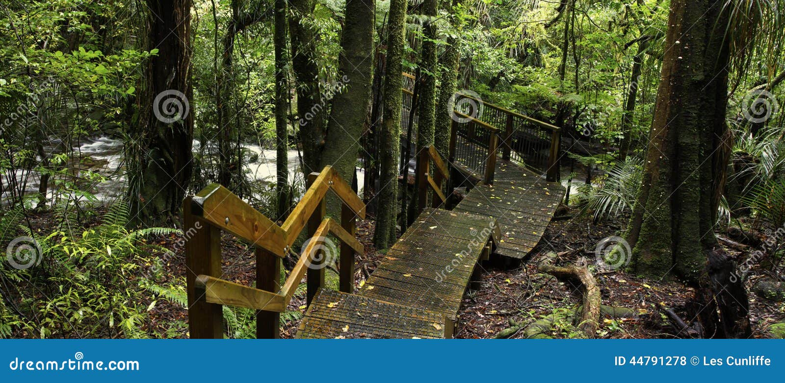 Walkway stock photo. Image of photograph, freshness, jungle - 44791278