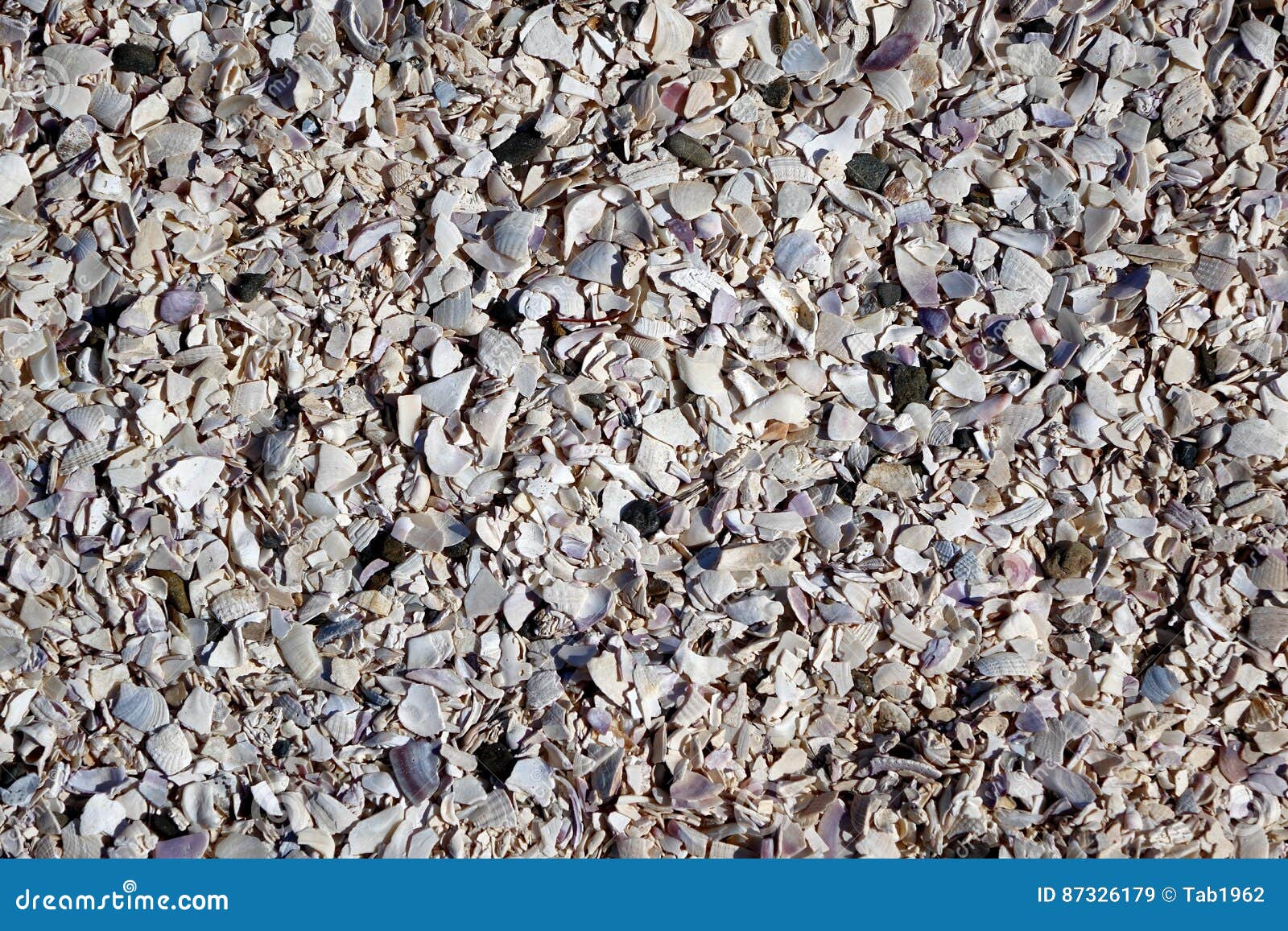 Walkway Made of Crushed Sea Shells Stock Image - Image of sidewalk ...