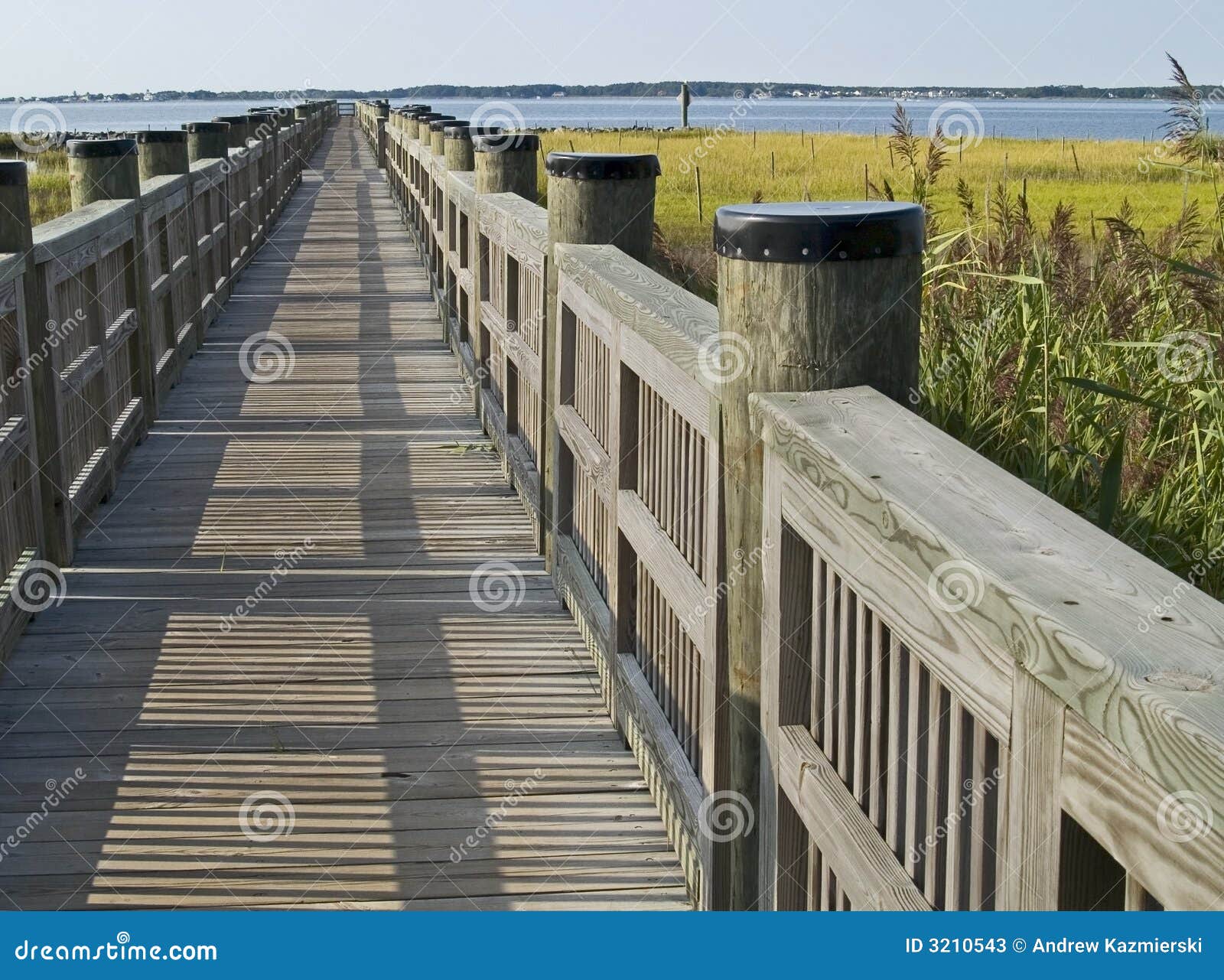 Walkway in Marsh stock image. Image of environment, park - 3210543