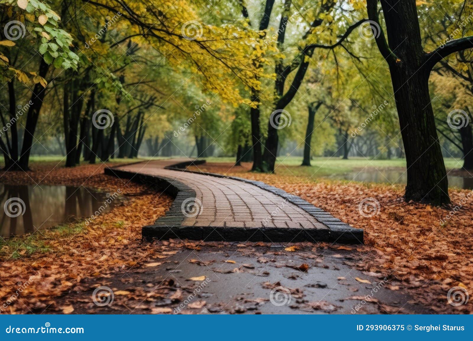 A Walkway in the Middle of a Park Surrounded by Trees, AI Stock Image ...