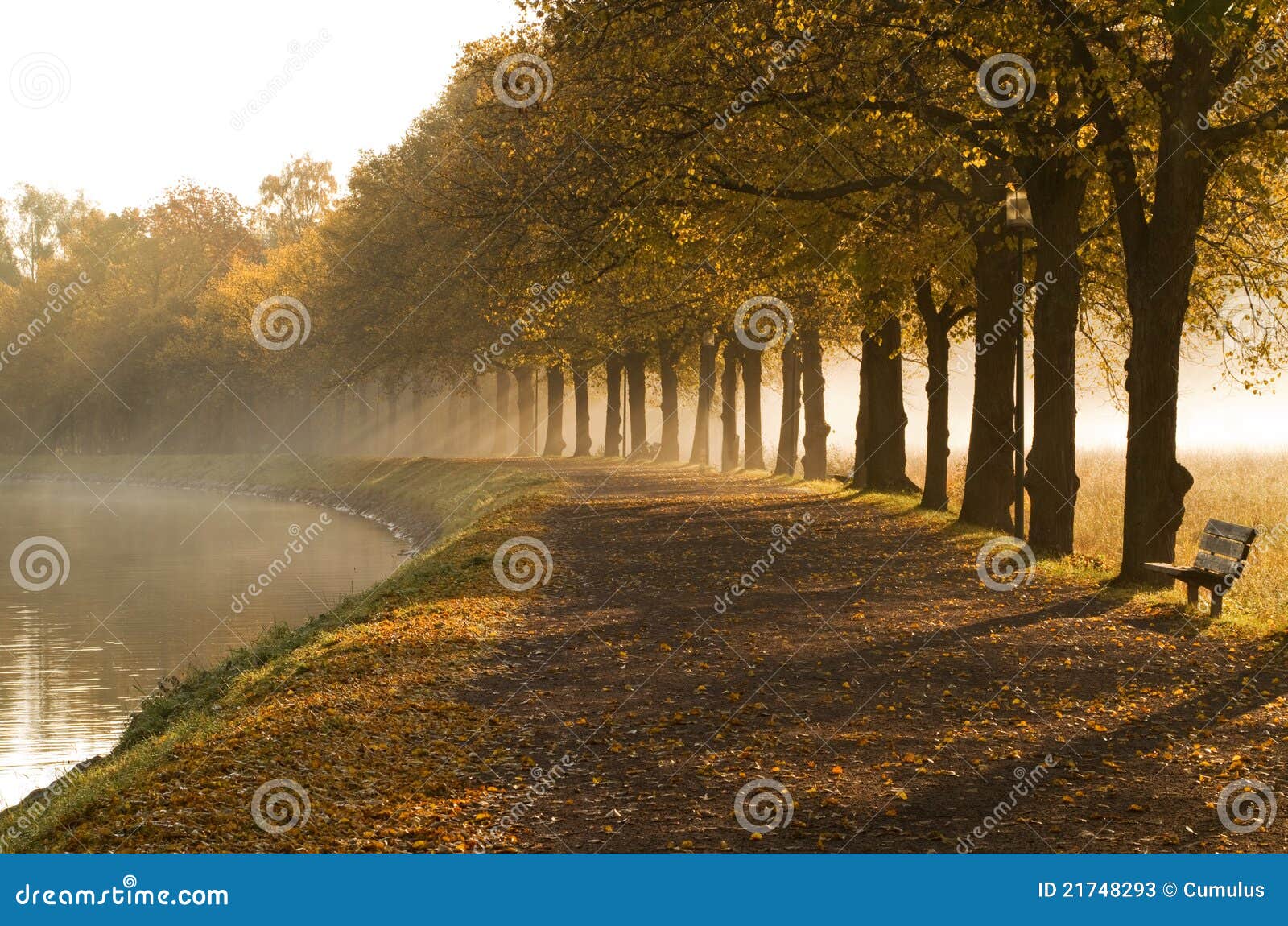 Walkway in mist in autumn. stock image. Image of water - 21748293