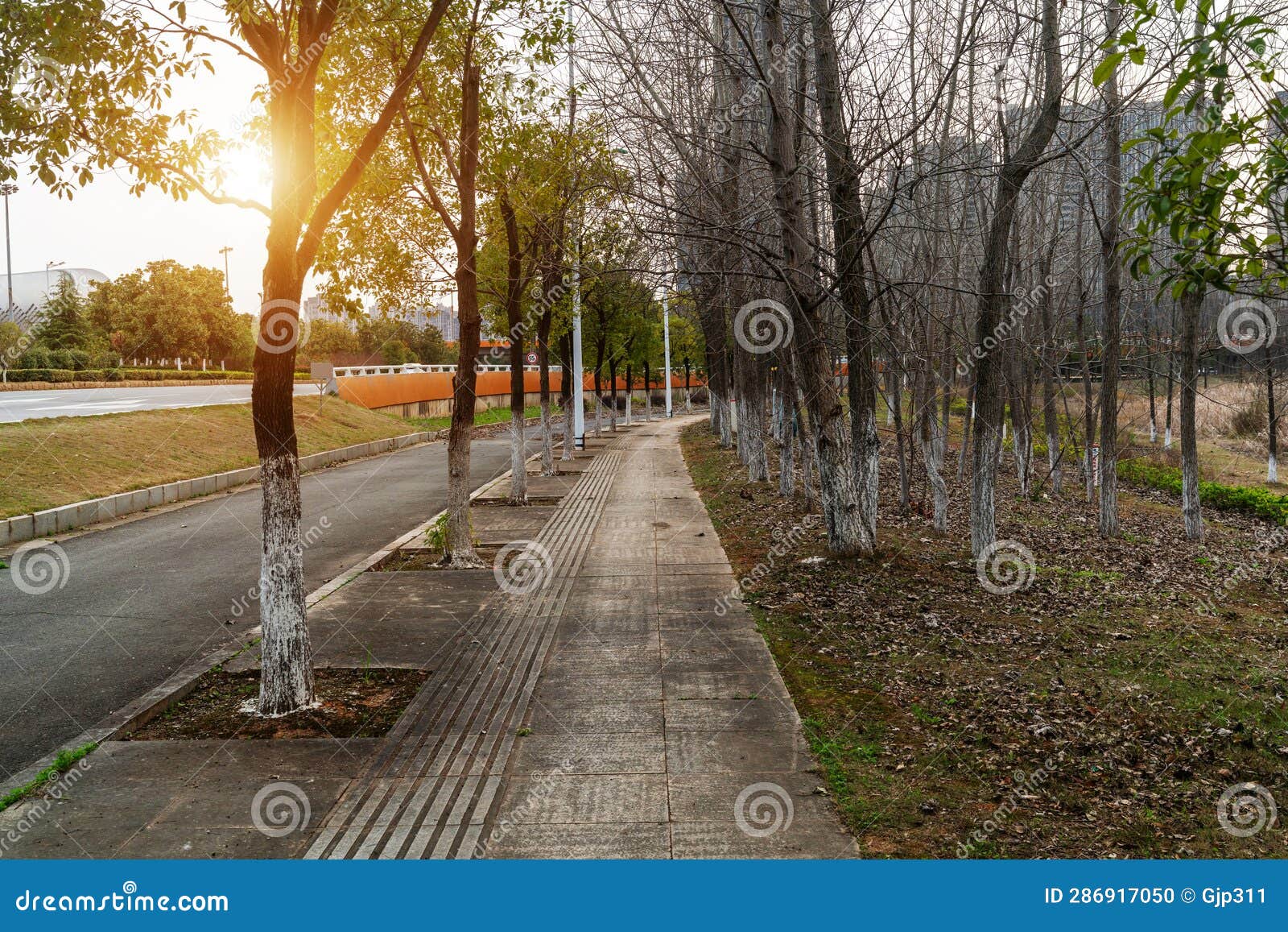 Walkway in the modern city stock photo. Image of sidewalk - 286917050