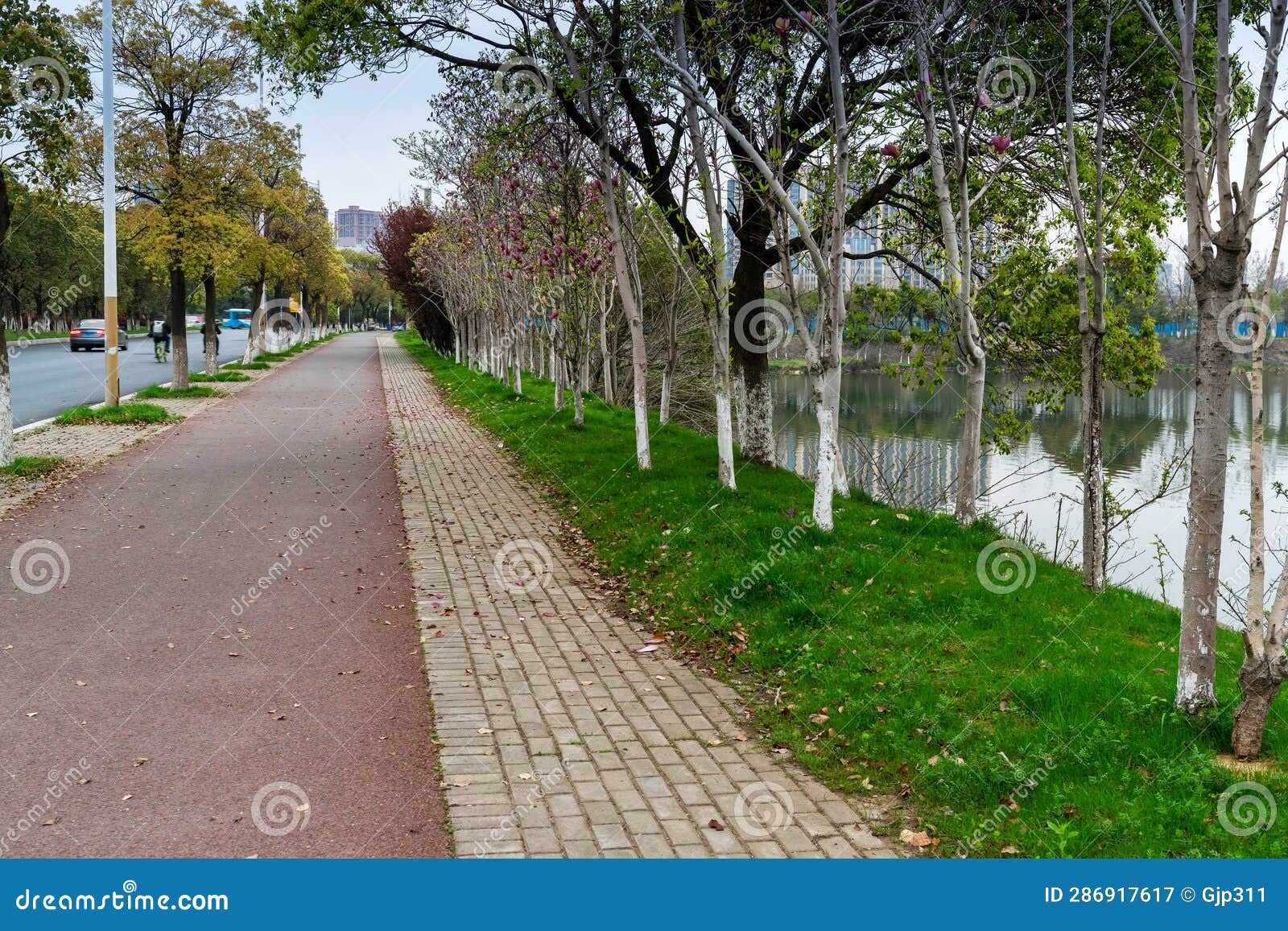 Walkway in the modern city stock image. Image of background - 286917617