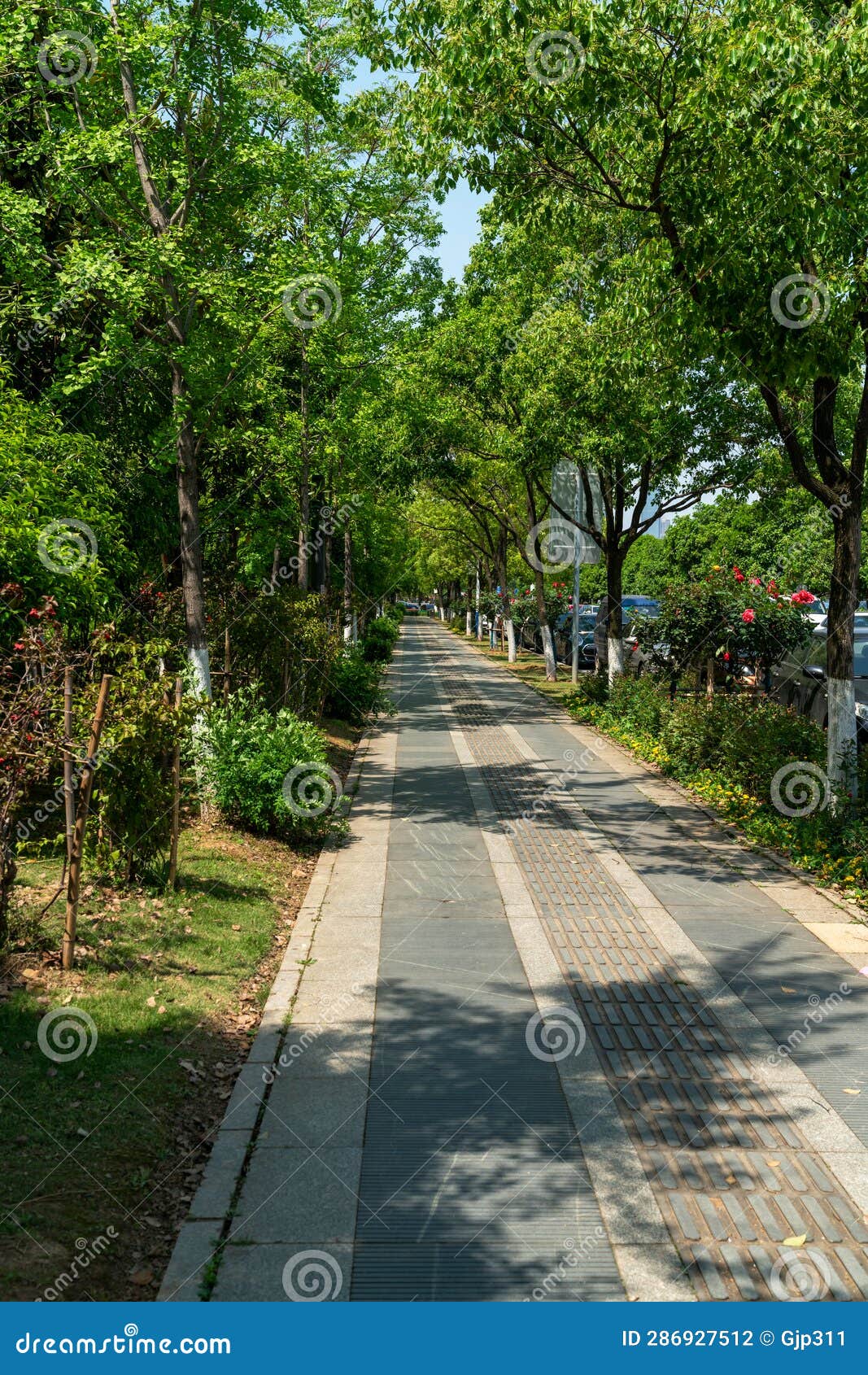 Walkway in the modern city stock photo. Image of urban - 286927512