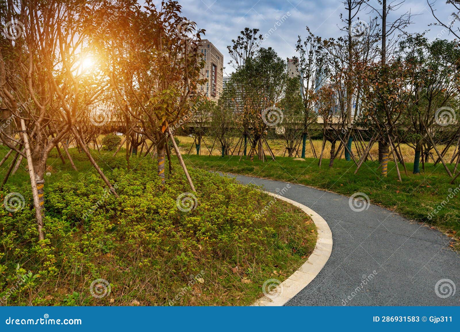 Walkway in the modern city stock image. Image of foliage - 286931583