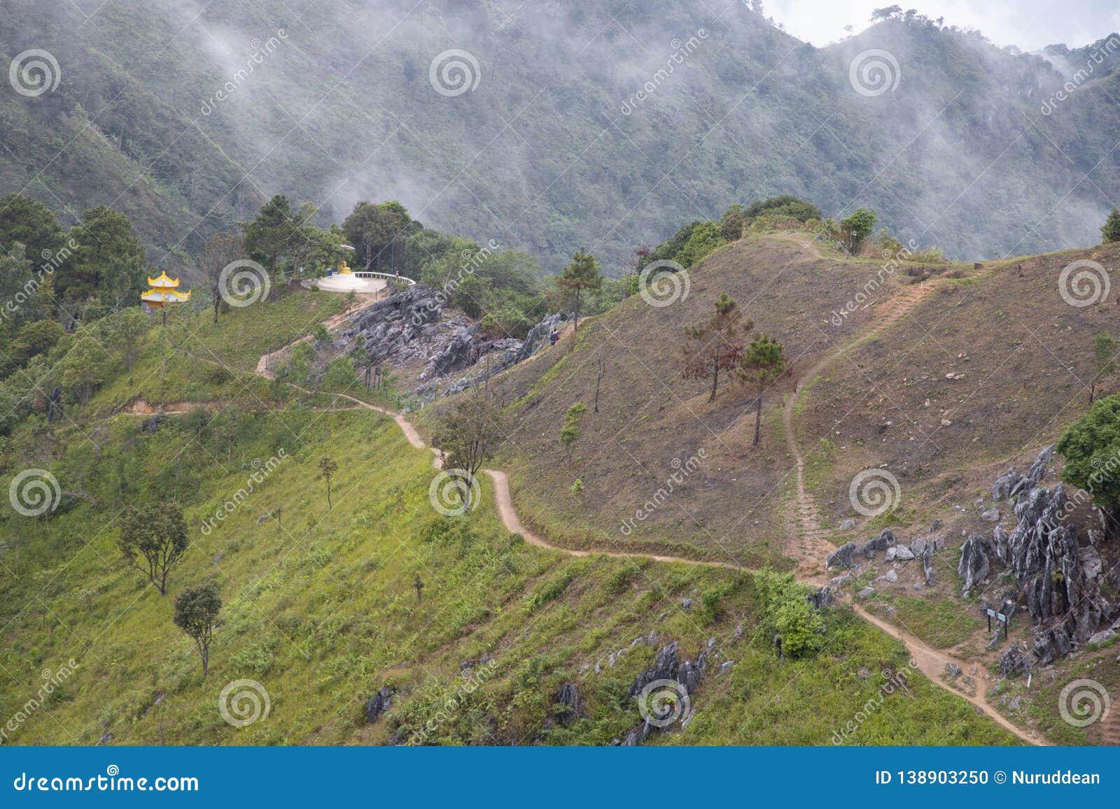 Walkway on the Mountain - Top View Stock Photo - Image of road, green ...