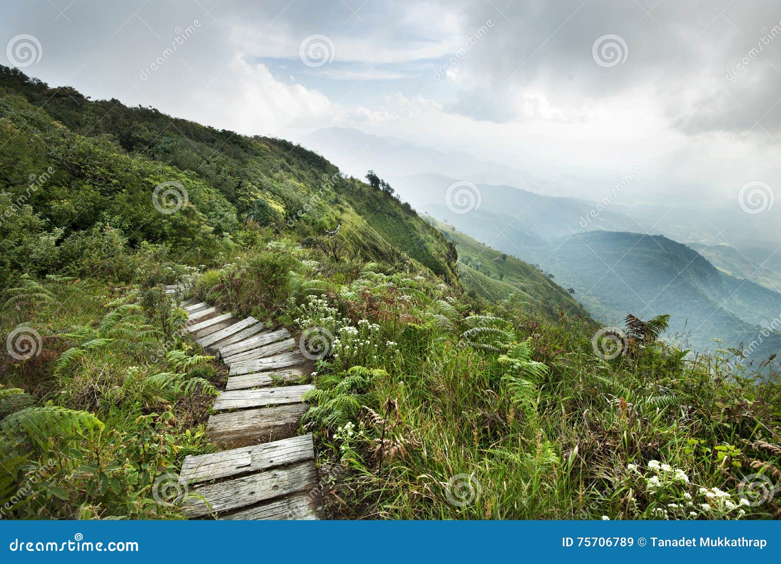 Walkway on mountain stock image. Image of nature, rural - 75706789