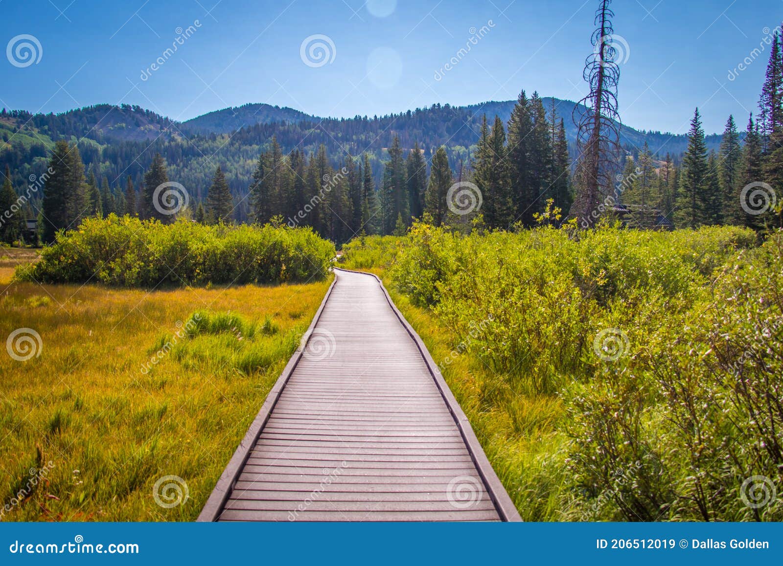 Walkway through the Mountains at Day Stock Image - Image of summer ...